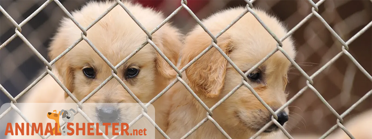 Satchel's Last Resort in Sarasota, FL